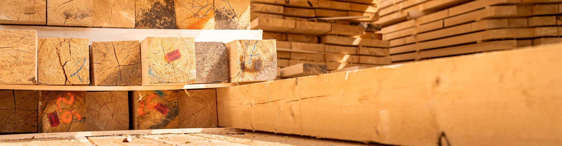 Bauholz - Holz Singer